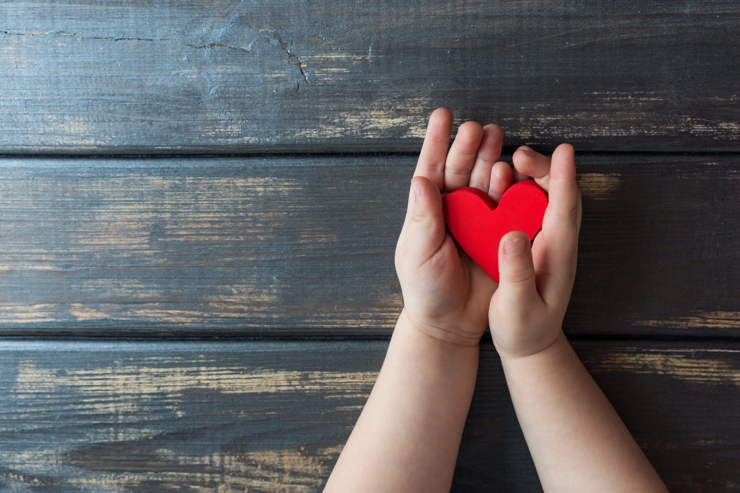 Parshas Mishpatim: Handle with Care - Jewish Resources